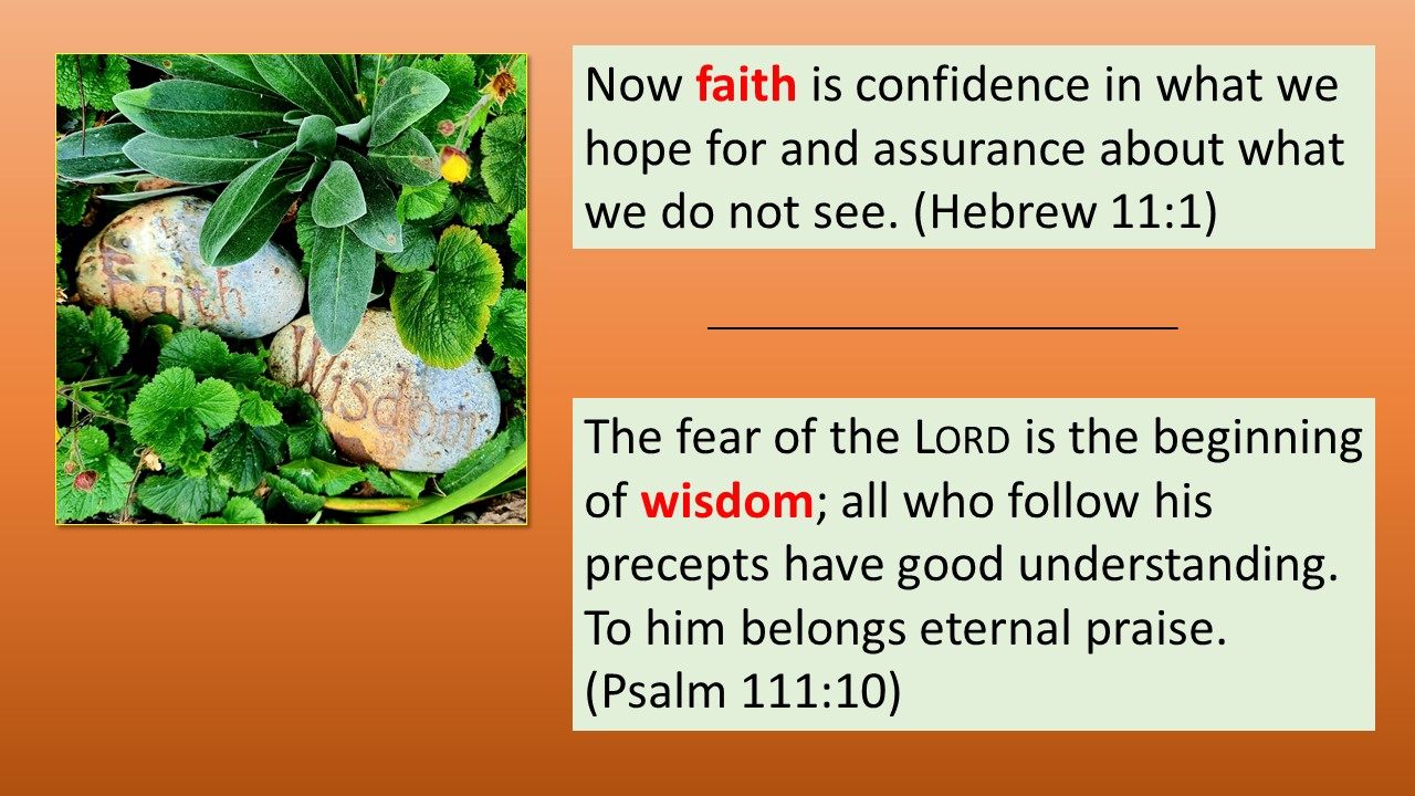 Mapping Oamaru Baptist Church’s Faith-Wisdom